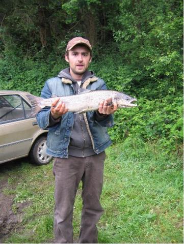 Ukleja - Ryba ukleja, wędkarstwo, opis w atlasie ryb