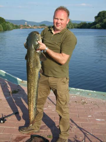 Ukleja - Ryba ukleja, wędkarstwo, opis w atlasie ryb